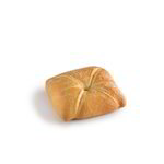 Pane | Eurospin Spesa Online